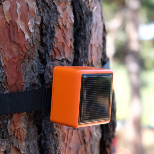 ForestGuard Fire Risk Monitoring Sensor | EchoStar Mobile